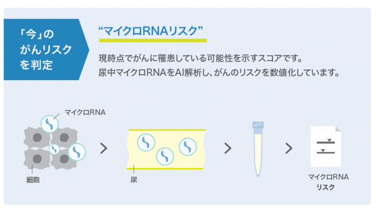 尿で調べるがんリスク検診 「miSignal®（マイシグナル）」 | 北海道・十勝・帯広 北斗病院