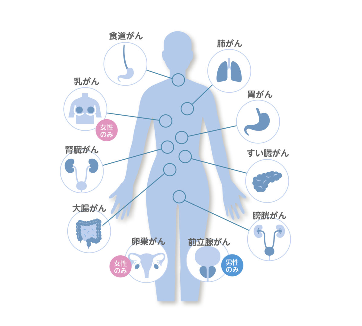 尿で調べるがんリスク検診 「miSignal®（マイシグナル）」 | 北海道・十勝・帯広 北斗病院